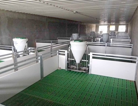 Nursery crate_piglet nursery_pig nursery crate_piglet equipment