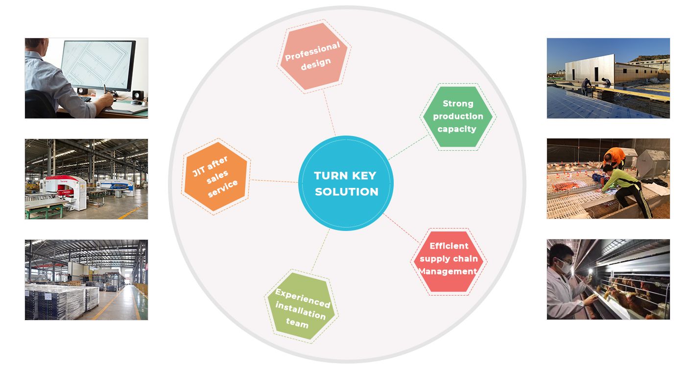 Chicken and Pig Farm Turn Key Solution