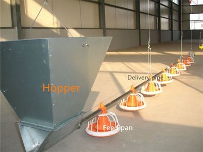 chicken feed/broiler feed_automatic chicken feeder system