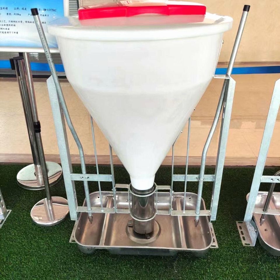 Pig feeder_Dry wet pig feeders_Sow feeder